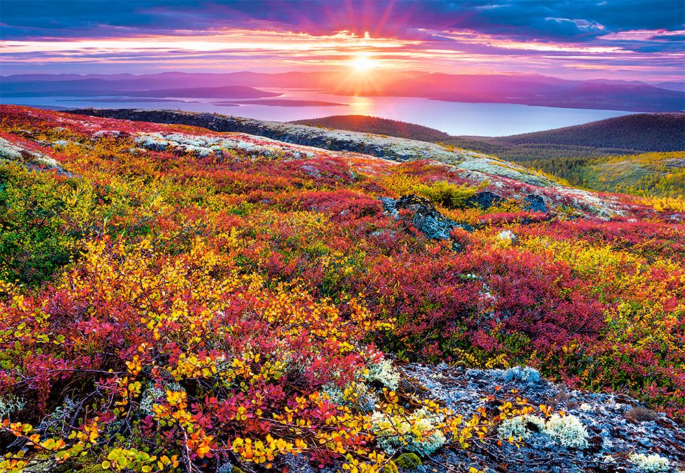 Tours to Russia: Moscow, St Petersburg, Northern Lights